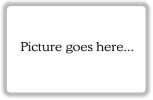 blank-picture-300px-wide
